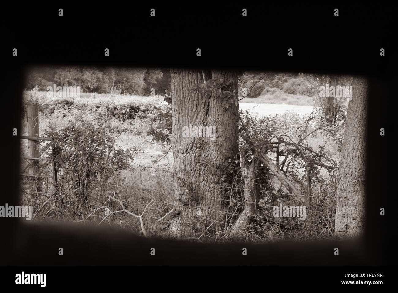 Bunker window hi-res stock photography and images - Alamy