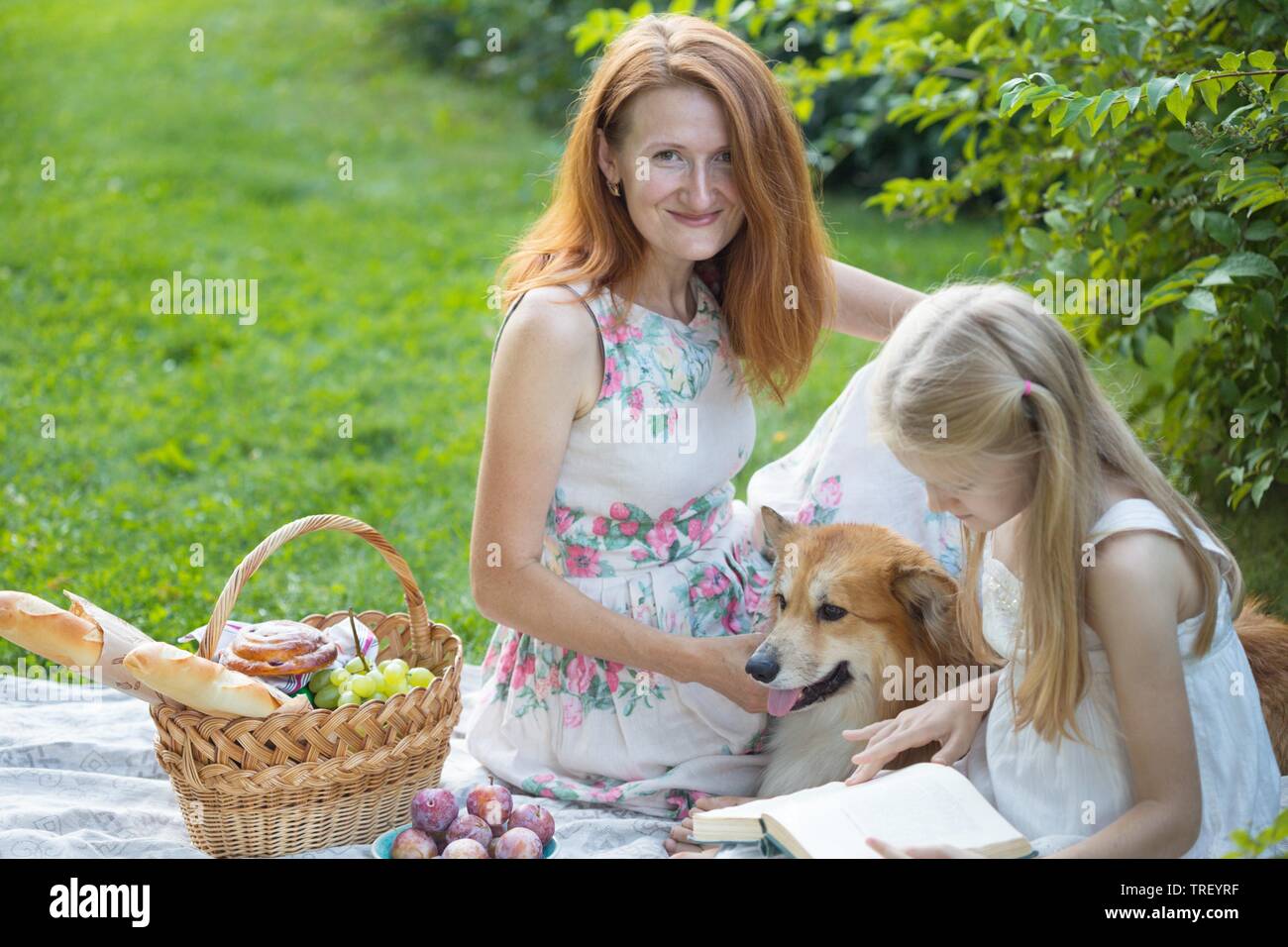 Summer - happy family at a picnic. Mom, daughter and dog corgi at a ...