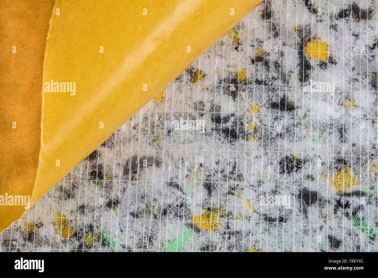 Car Floor Coating Waterproof (Car sound insulation Stock Photo - Alamy