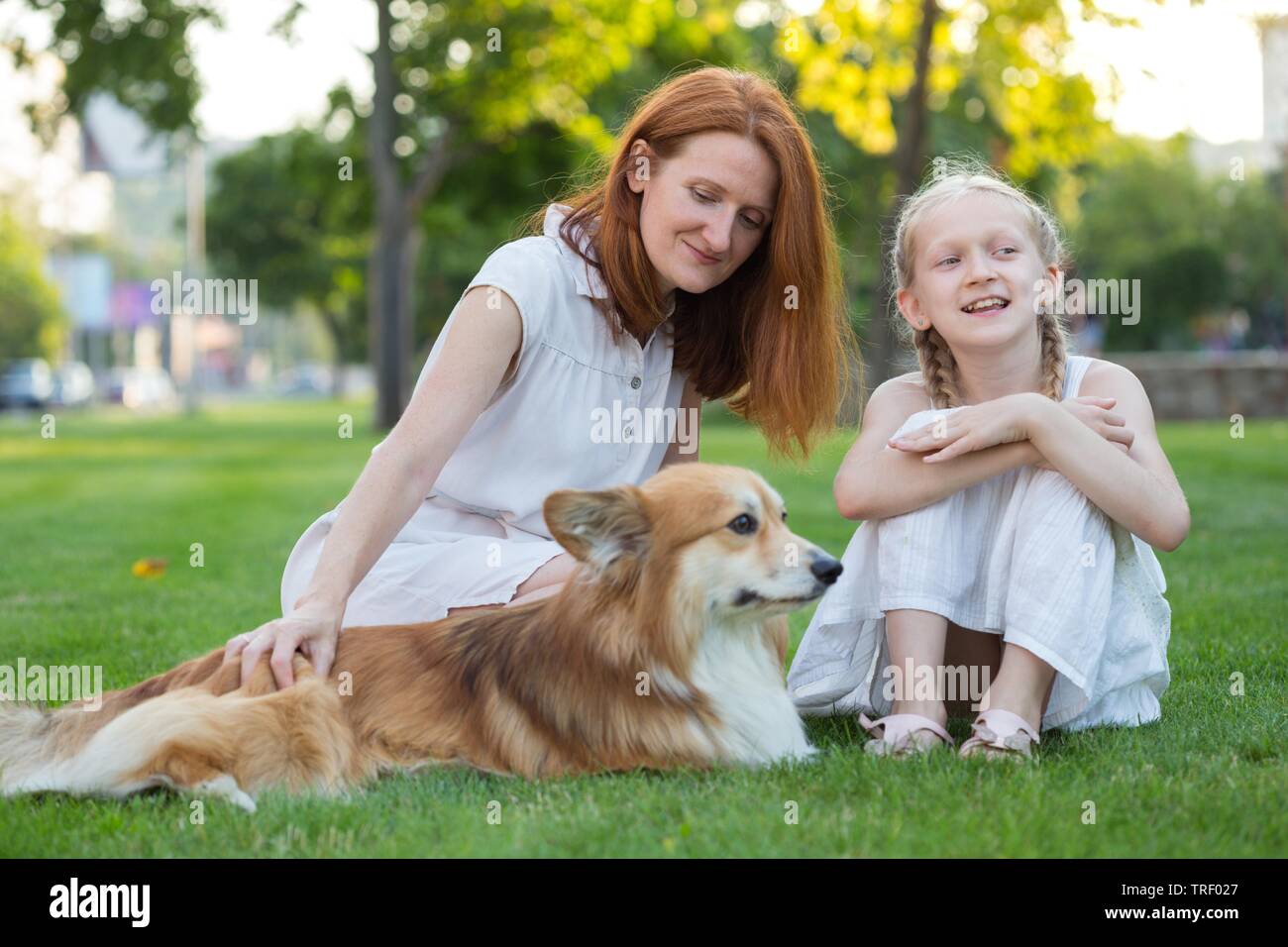 cheerful family - smiling mom and daughter and corgi fluffy sit on the ...