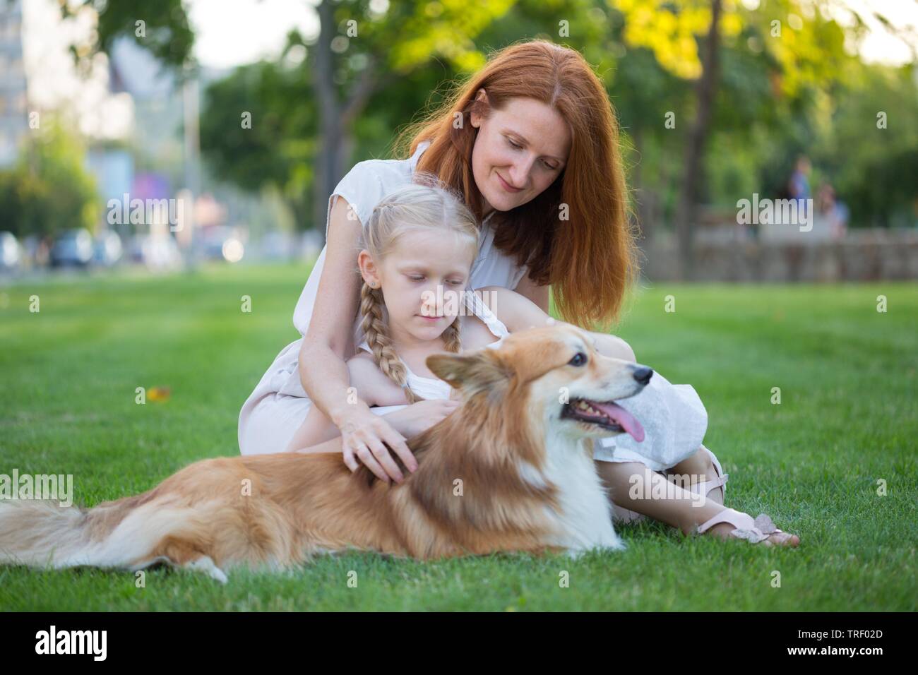 cheerful family - smiling mom and daughter and corgi fluffy sit on the ...