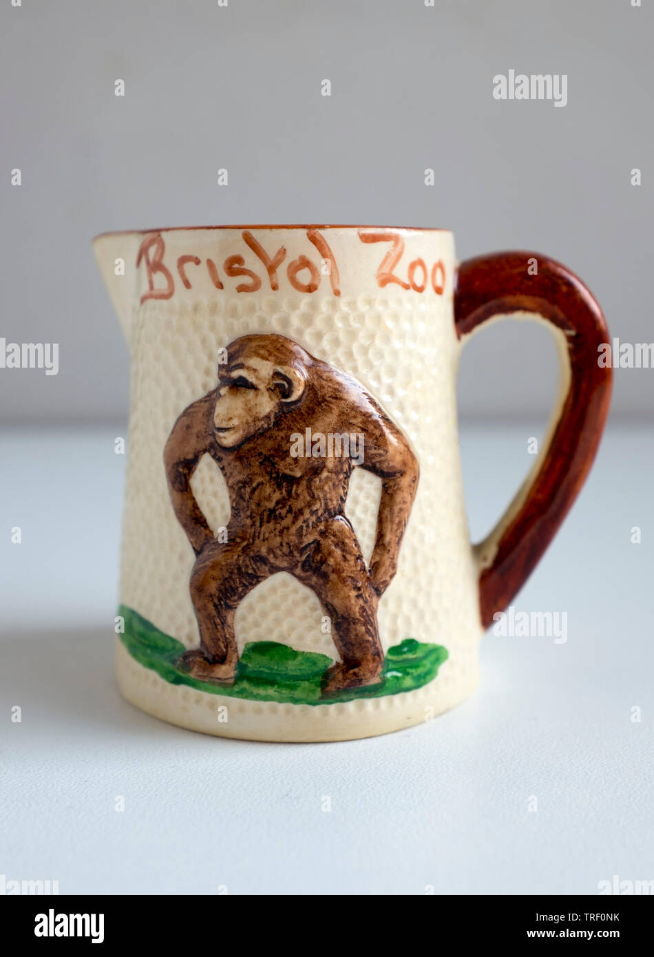 Vintage bristol zoo mug hi-res stock photography and images - Alamy