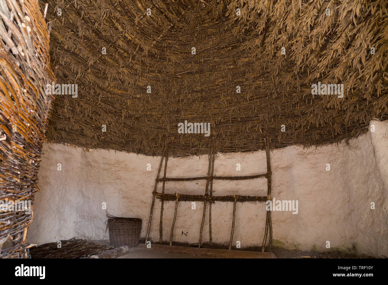 Interior with thatched roof ceiling inside a recreated Neolithic stone ...