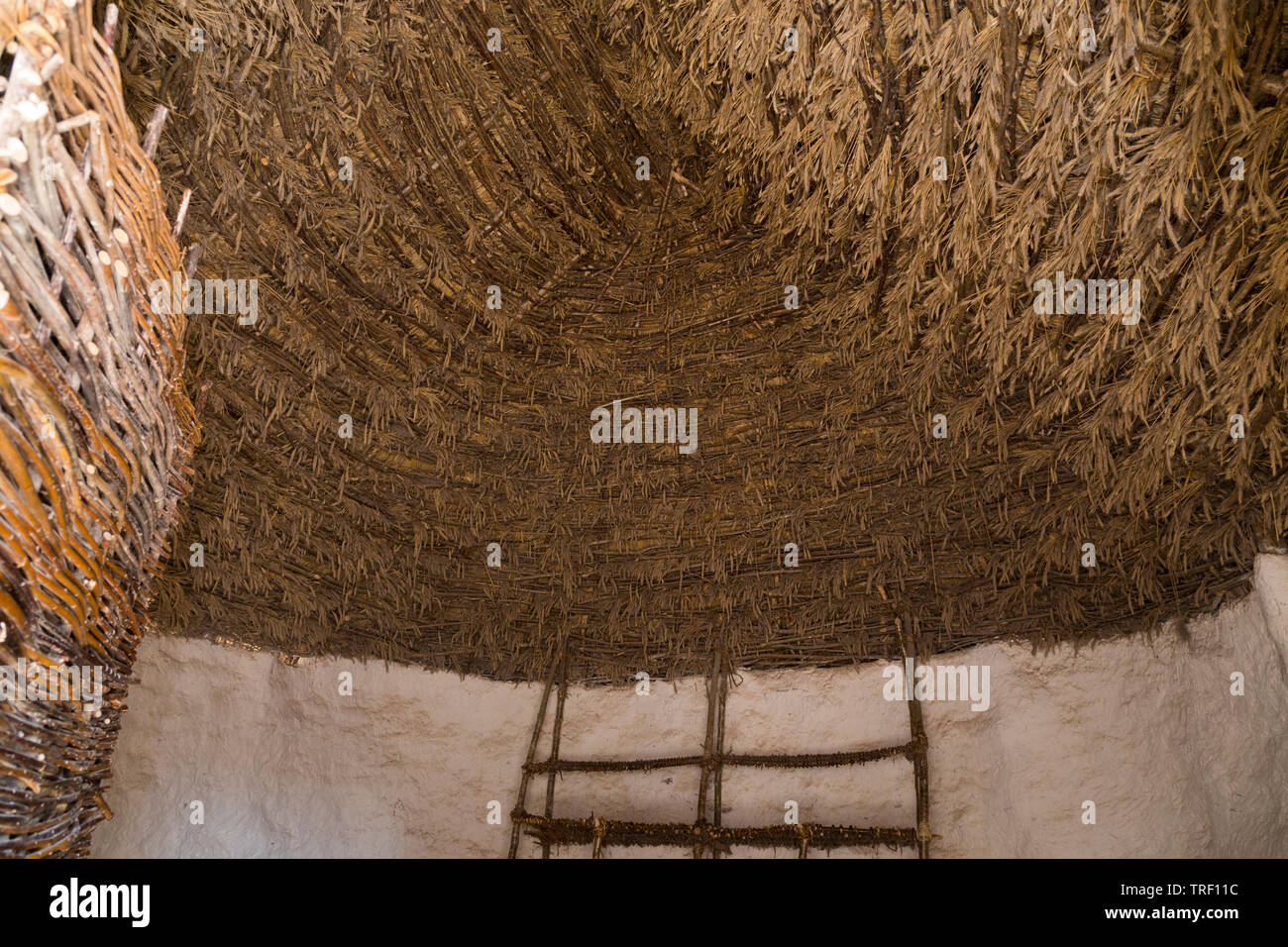 Stone age thatch hut hi-res stock photography and images - Alamy