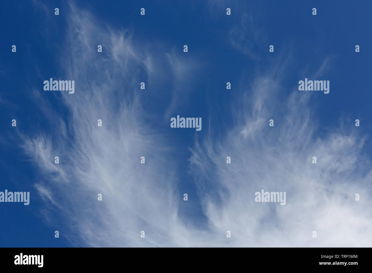 Cirrus fibratus cloud clouds hi-res stock photography and images - Alamy