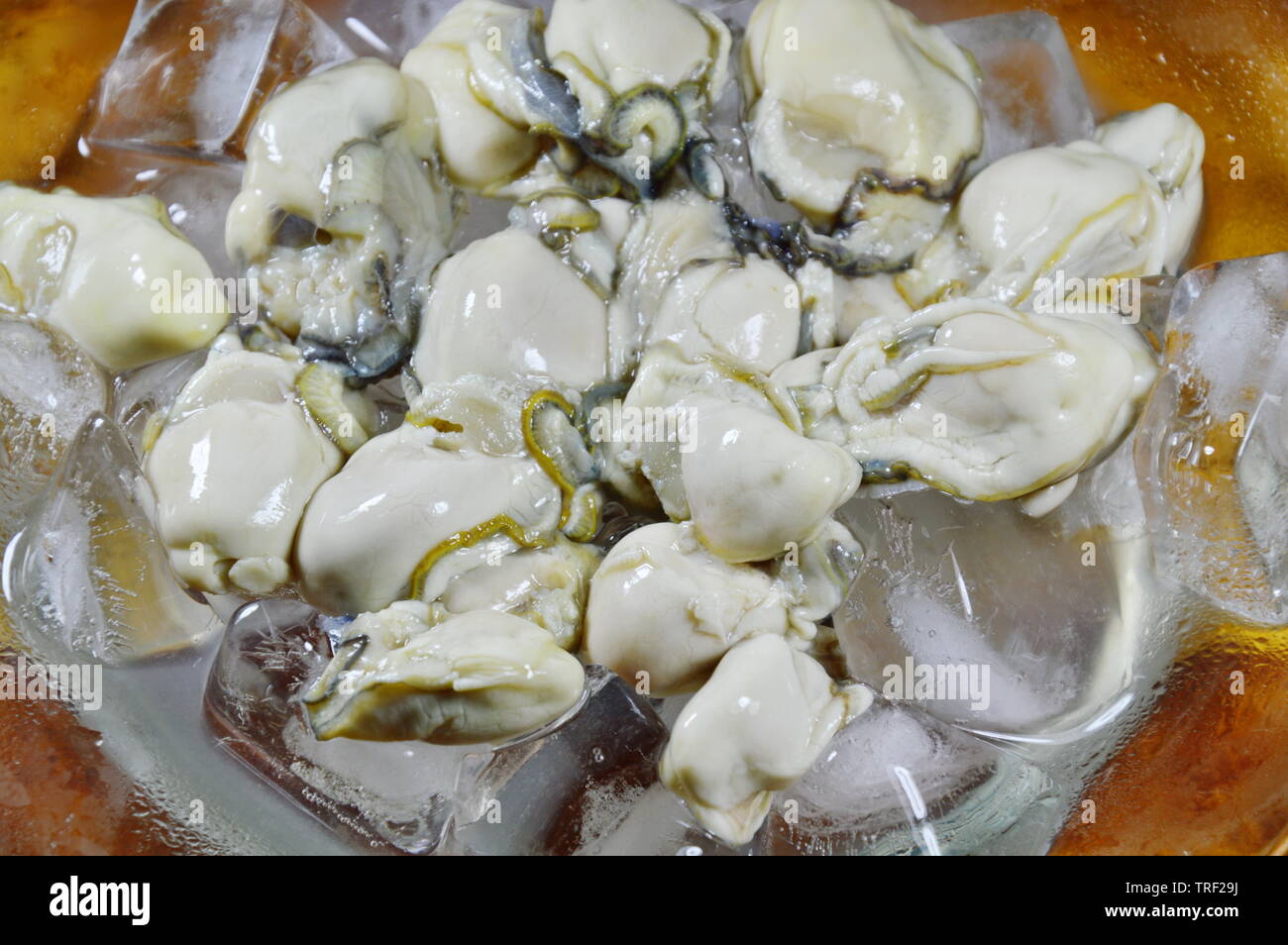 Oyster sponge hi-res stock photography and images - Alamy