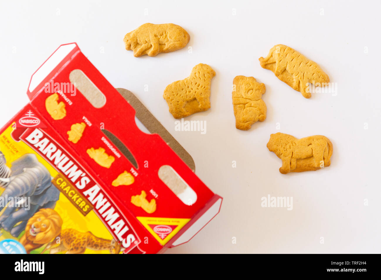 Barnum's Animal Crackers Stock Photo - Alamy