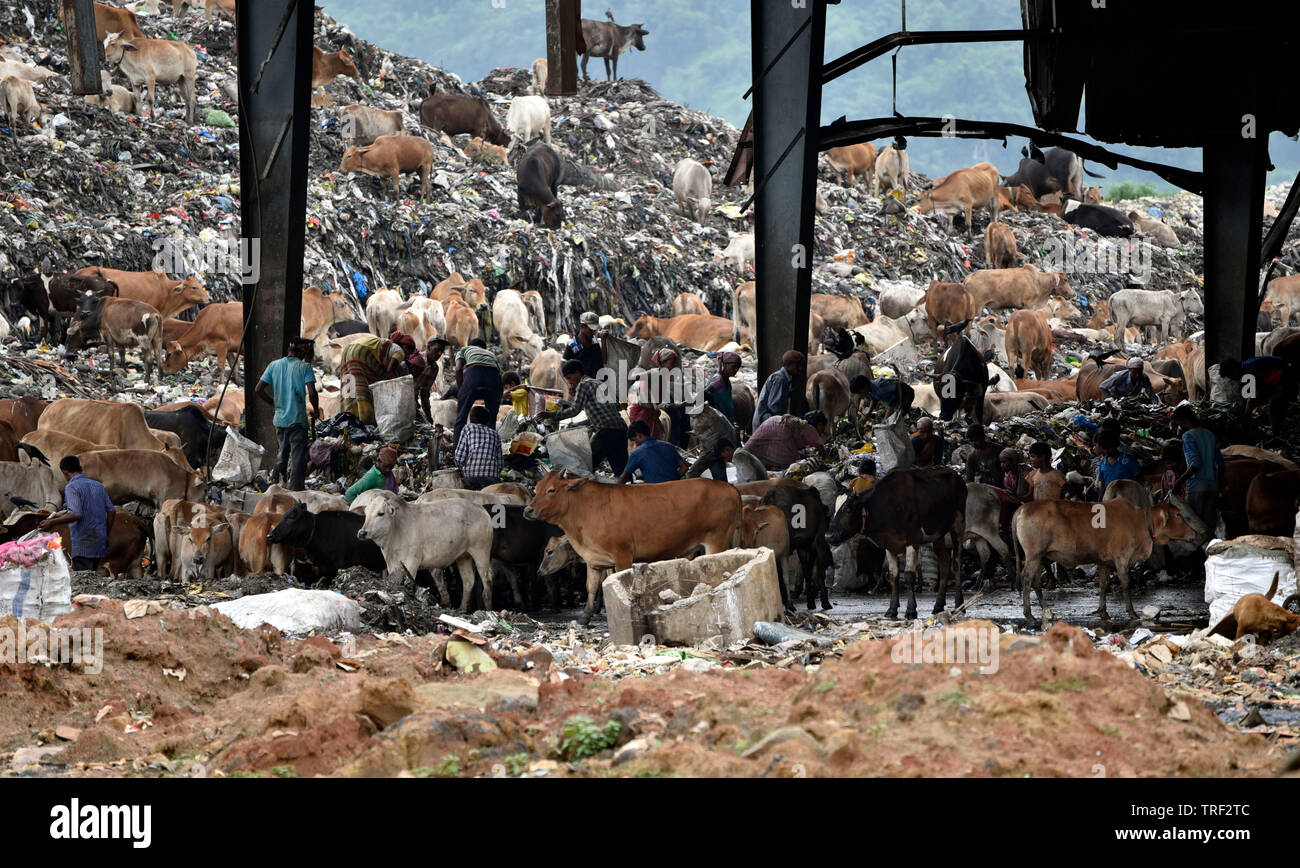 Indian waste pickers hi-res stock photography and images - Alamy