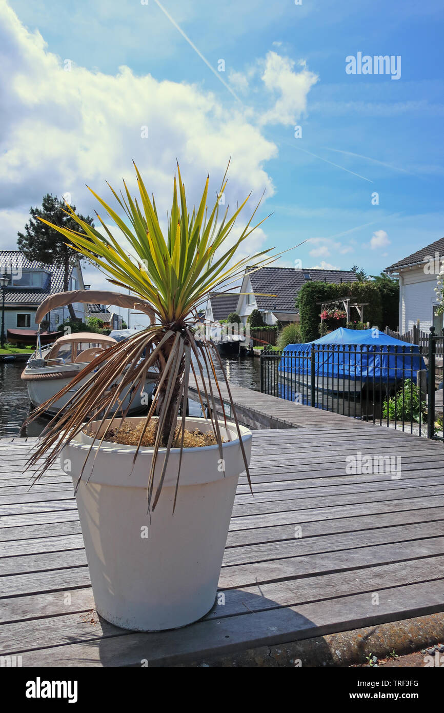 Boats in a urban situation on kaag island Stock Photo - Alamy