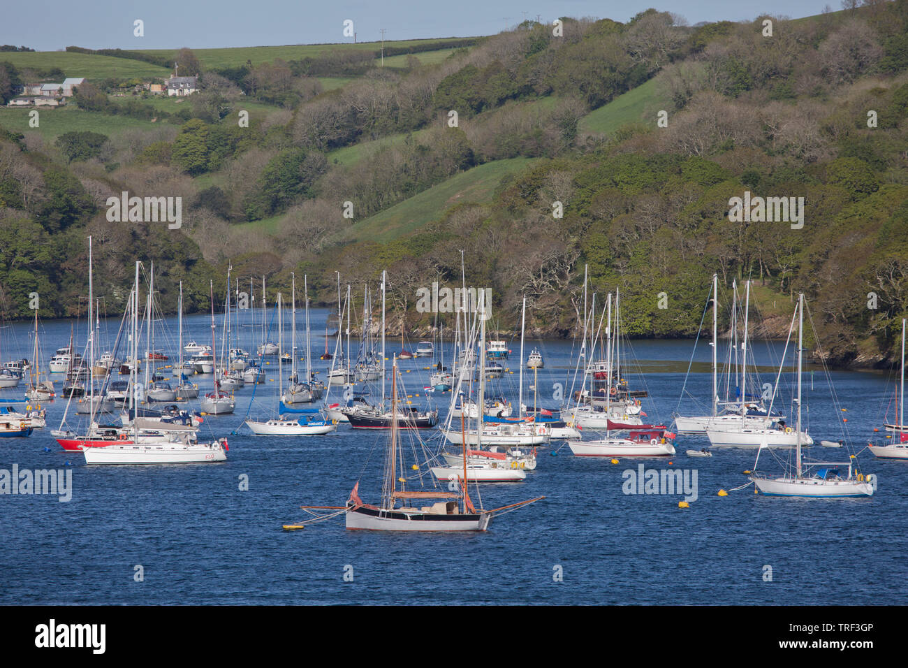 The River Fowey and estuary, Cornwall, England Stock Photo - Alamy