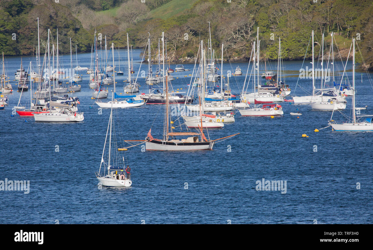 The River Fowey and estuary, Cornwall, England Stock Photo - Alamy
