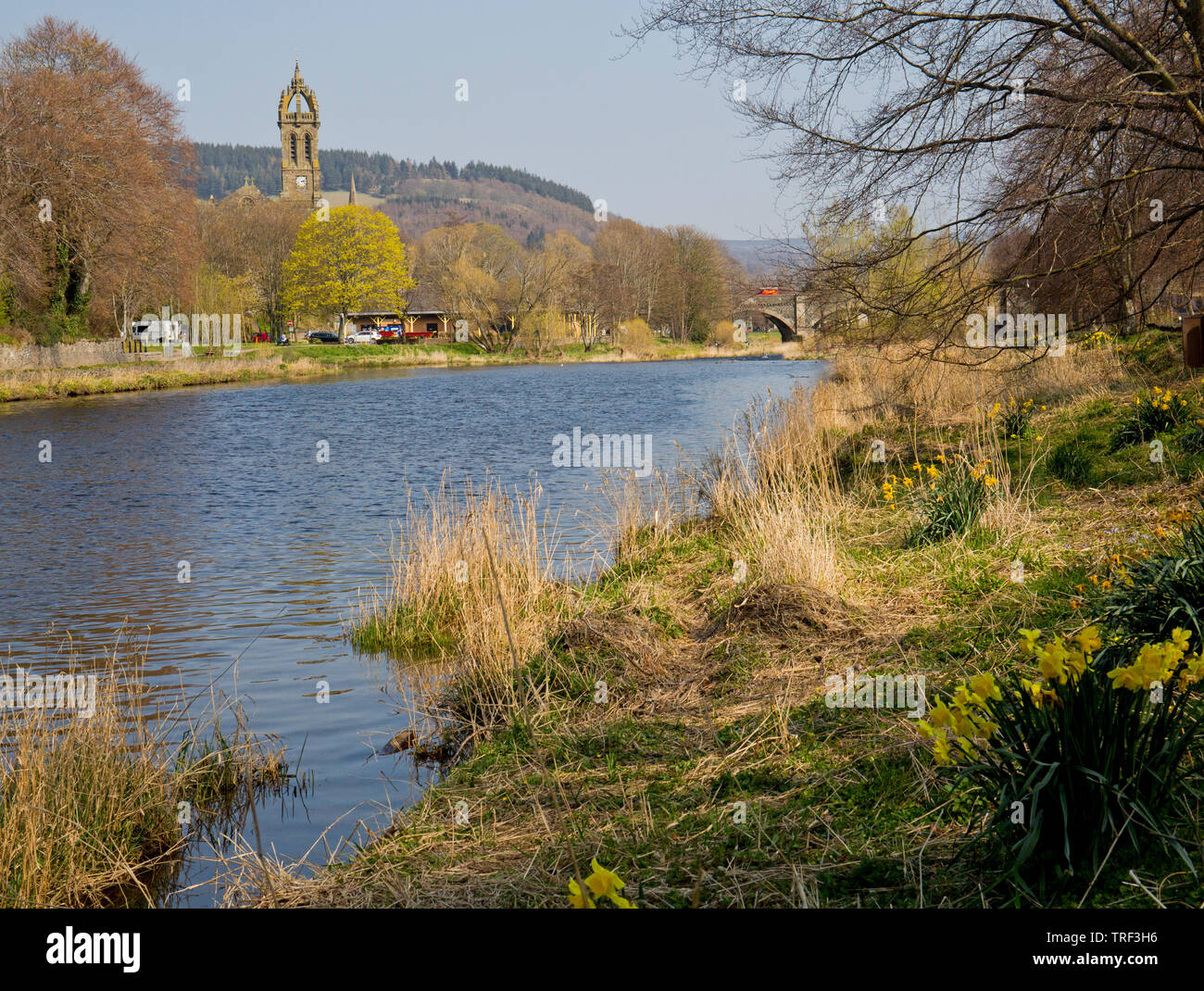 The river Tweed at Peebles Stock Photo - Alamy