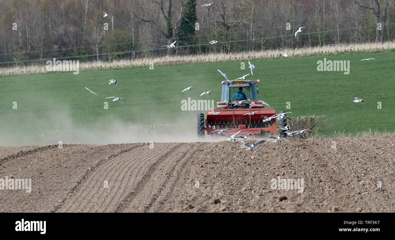 Dusty conditions hi-res stock photography and images - Alamy