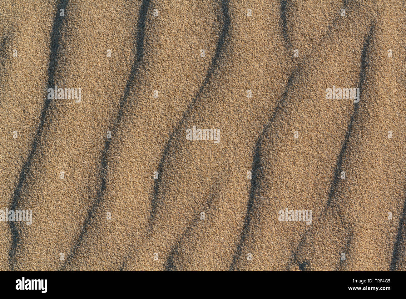Beach Sand texture for background. Top view Stock Photo - Alamy