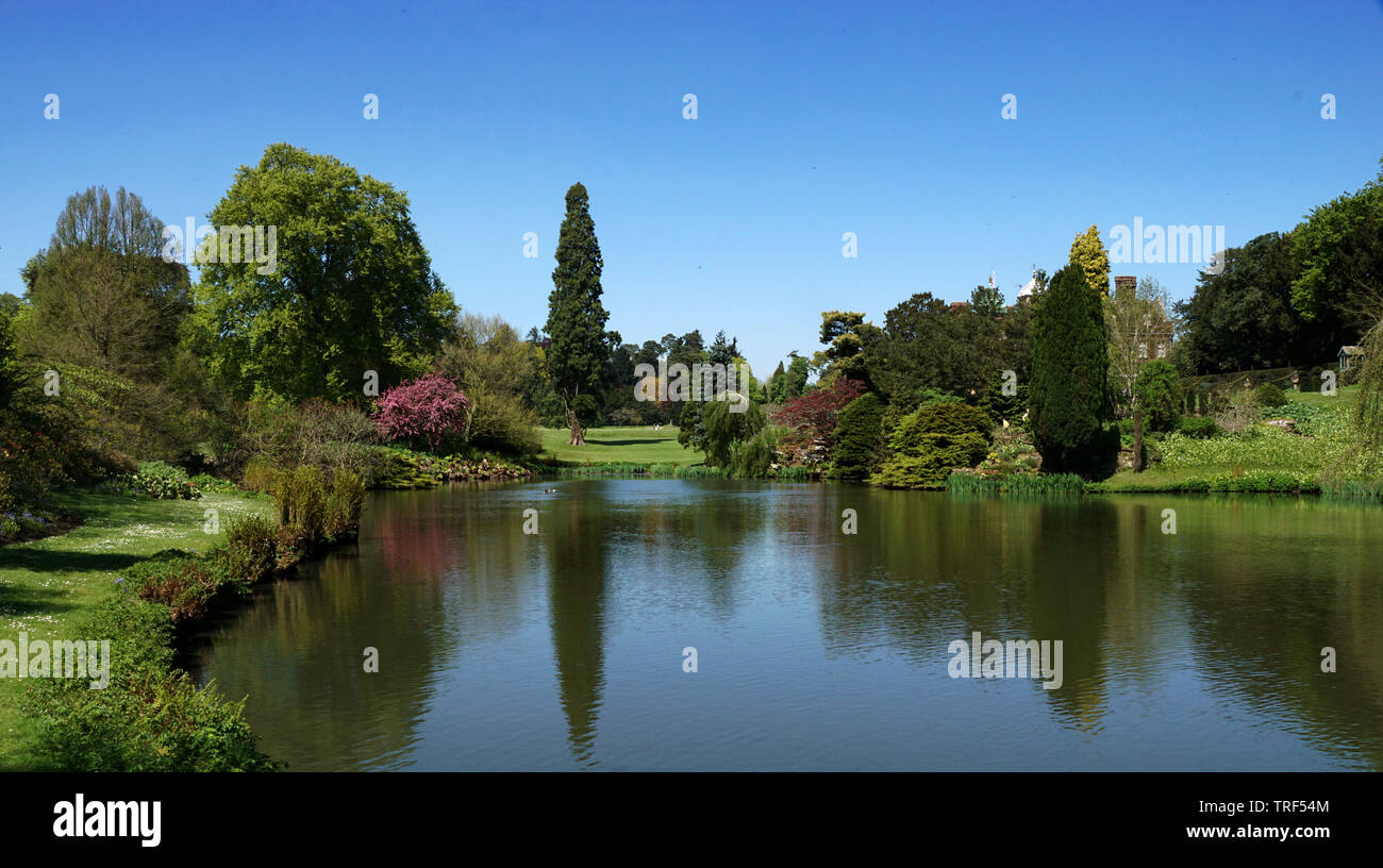 Sandringham gardens hi-res stock photography and images - Alamy