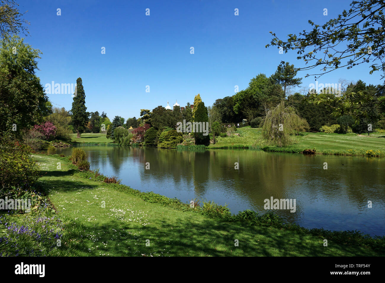 Sandringham Gardens High Resolution Stock Photography and Images - Alamy