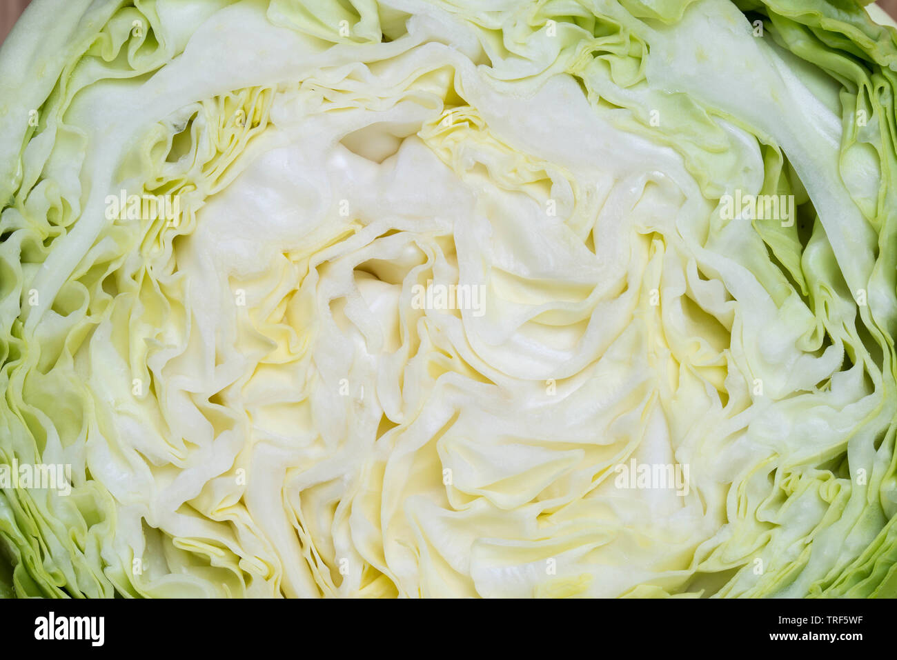 texture of cabbage cut in half macro Stock Photo - Alamy