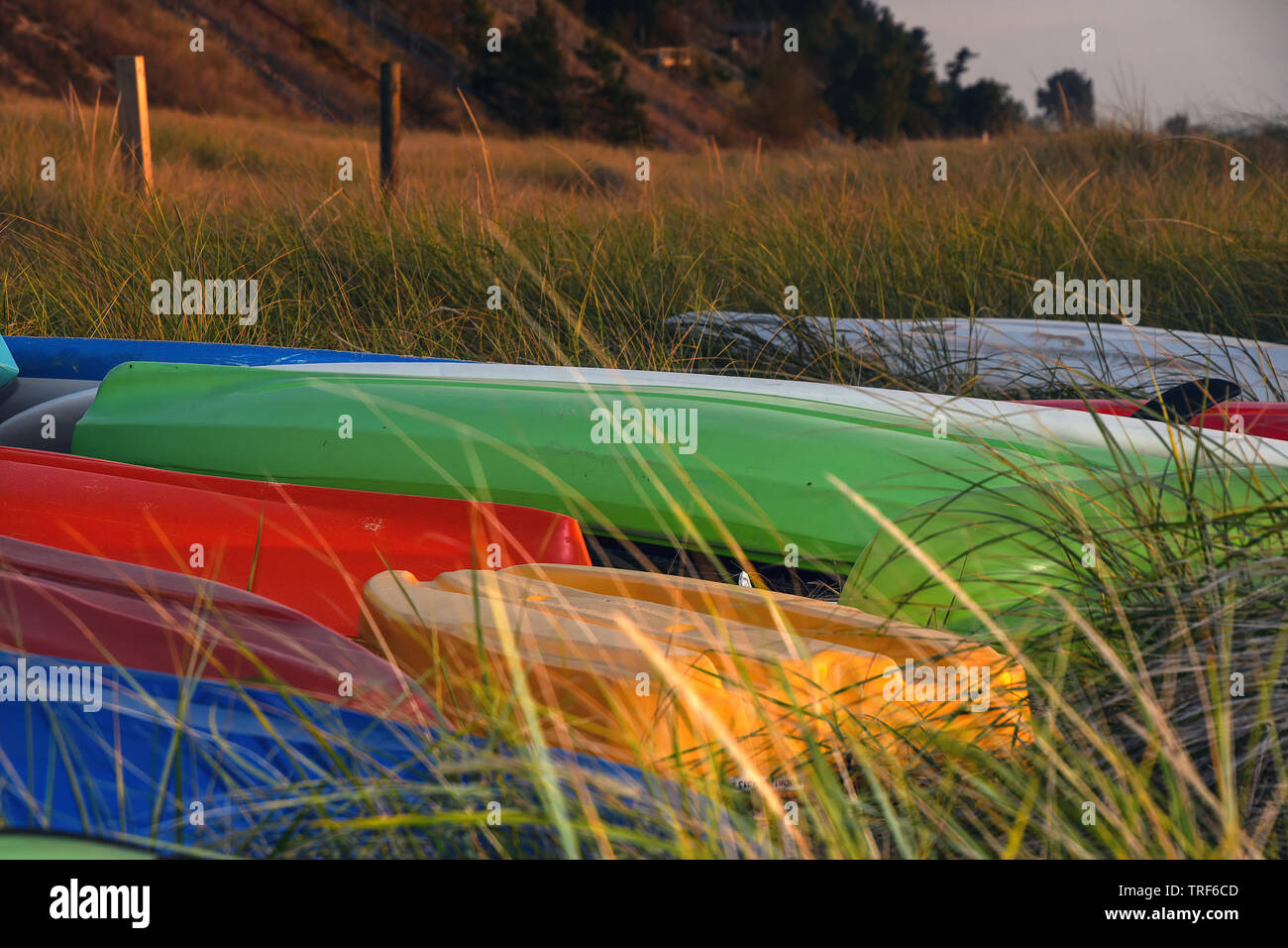 Colorful kayaks in beach grass with morning sun glow Stock Photo - Alamy