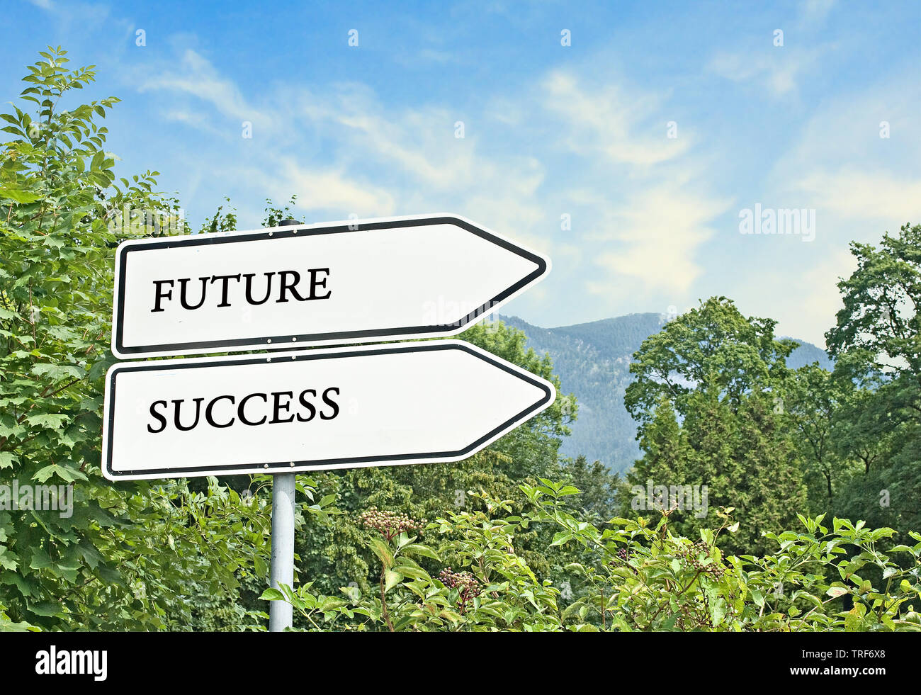 Road signs to future and success Stock Photo - Alamy