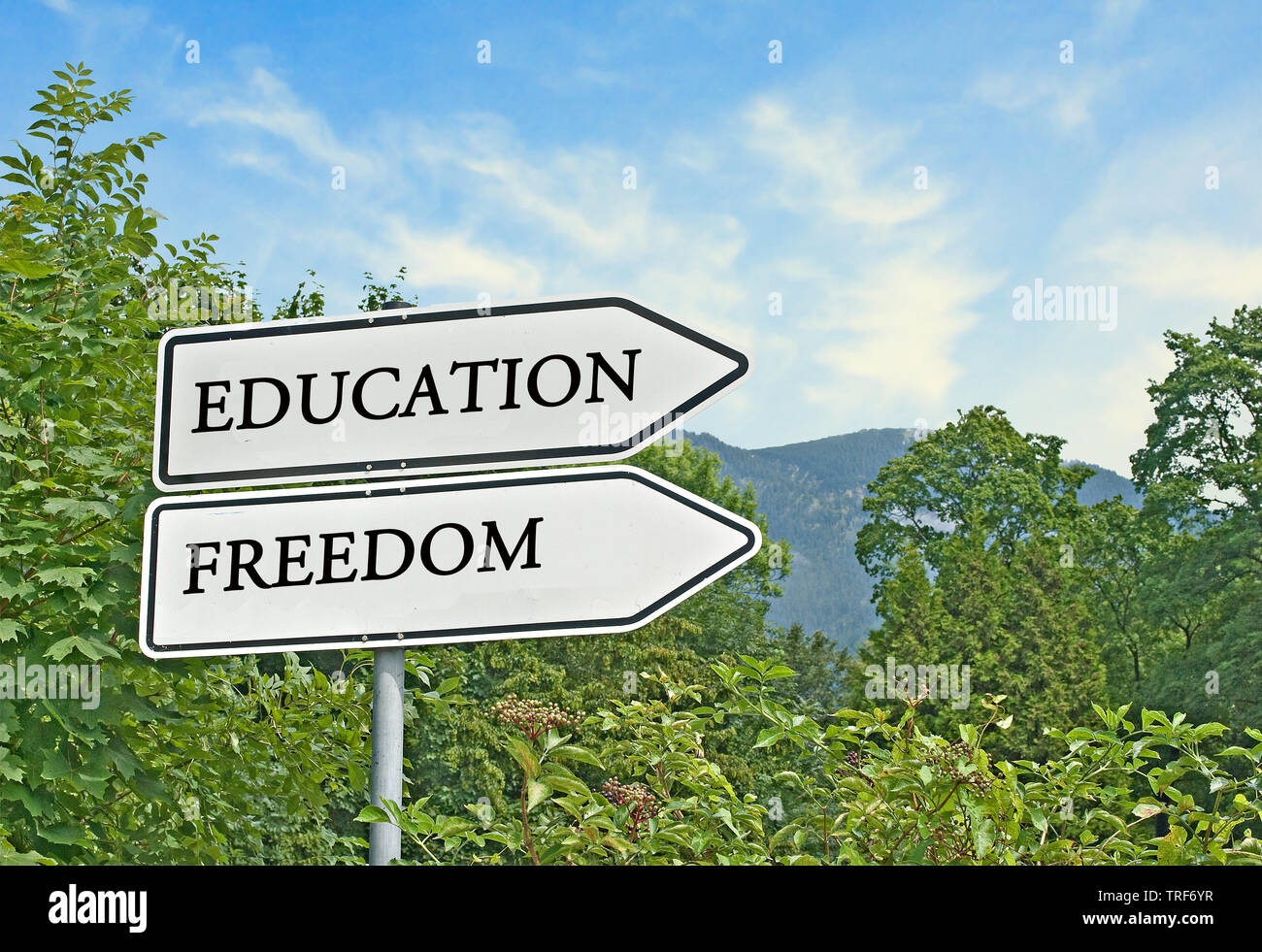 Education is freedom hi-res stock photography and images - Alamy
