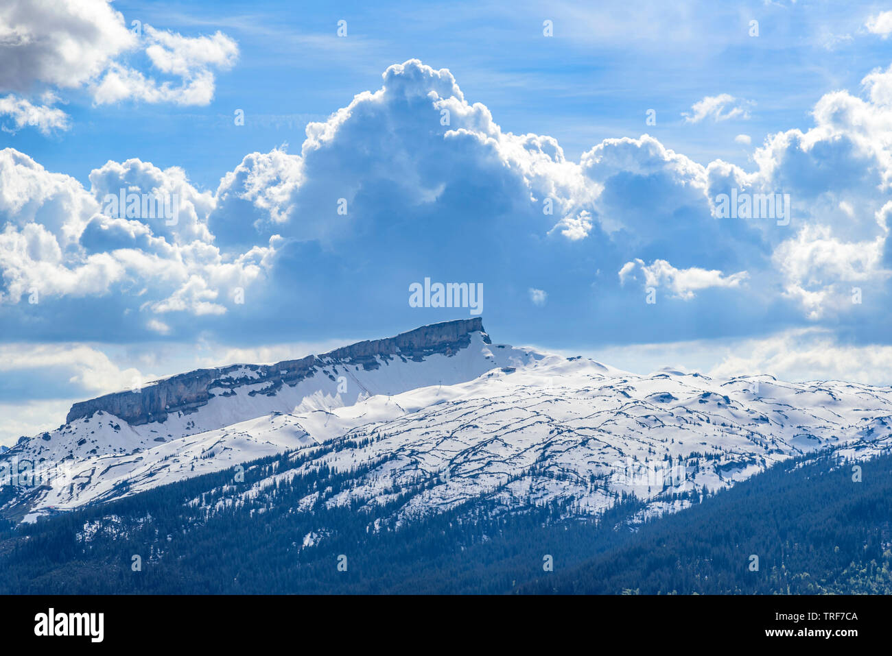 View to the impressive peak of the mountain called Hoher Ifen with the ...
