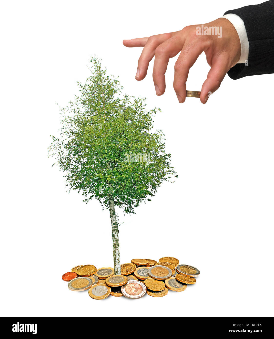 Tree growing from coins Stock Photo - Alamy