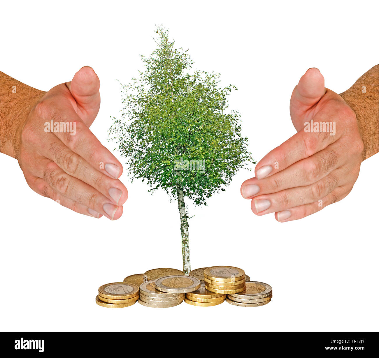 Hands protecting tree Stock Photo - Alamy