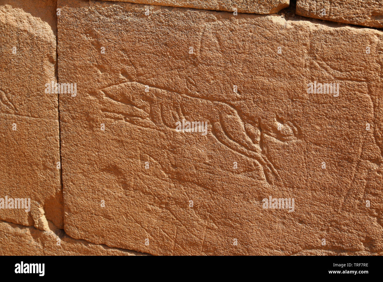 Kingdom Kush - the ruins of the Temple in the desert of the Sudan Stock ...