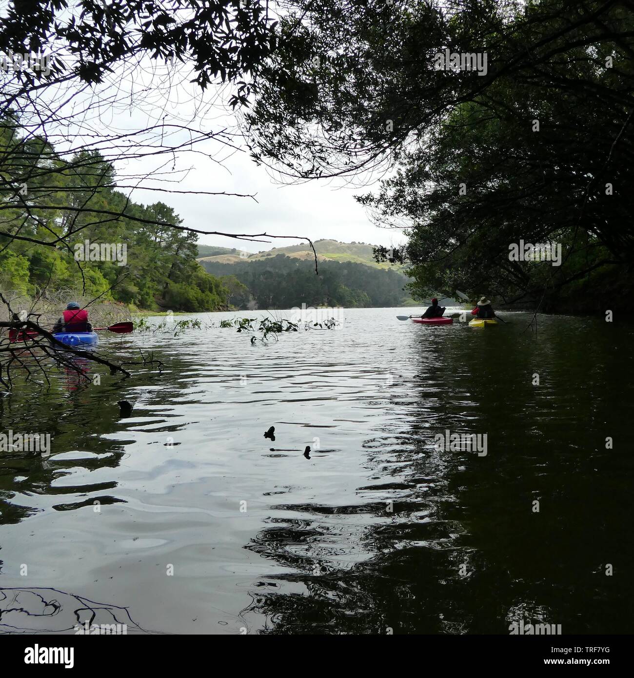 People in kayaks as viewed from a western cove at the edge of San Pablo ...