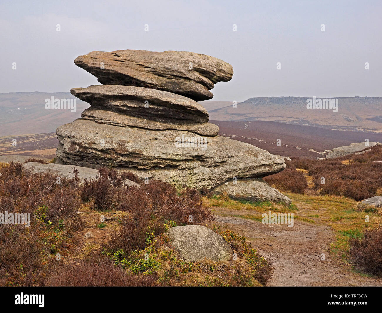 fantastic shapes of gritstone rock formation surrounded by heather ...