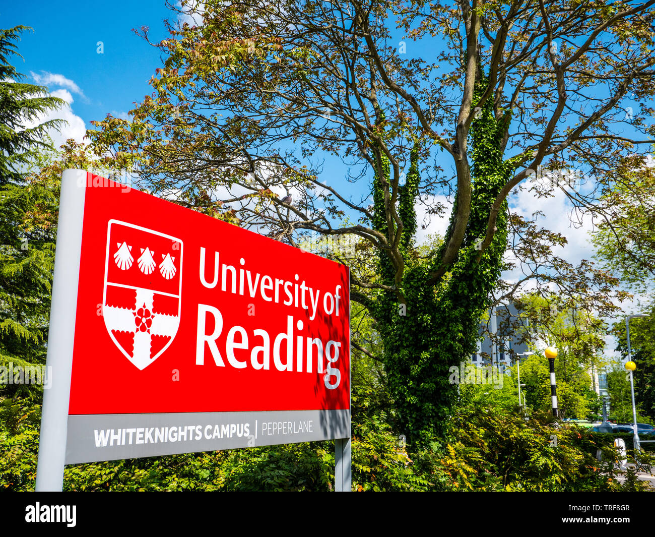 University of Reading, Whiteknights Campus, Reading, Berkshire, England ...
