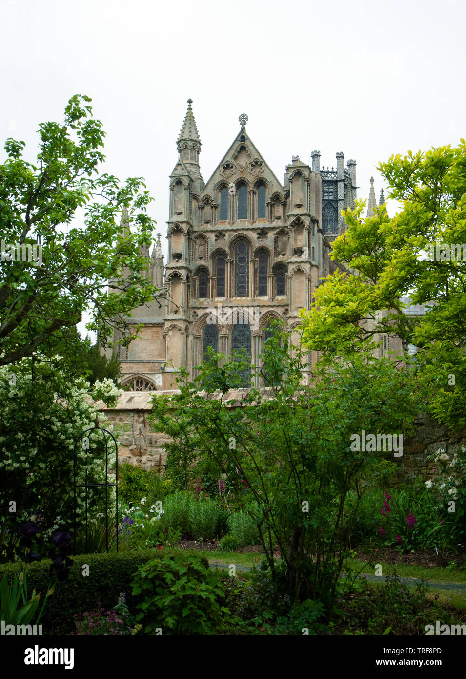 The windows of the Presbytery of Ely Cathedral, known as the Ship of ...