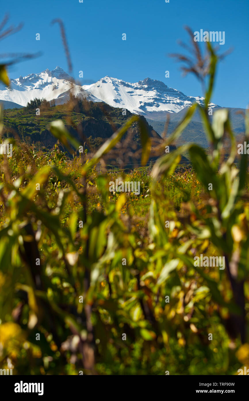 Landscape at Peruvian Andes Stock Photo - Alamy