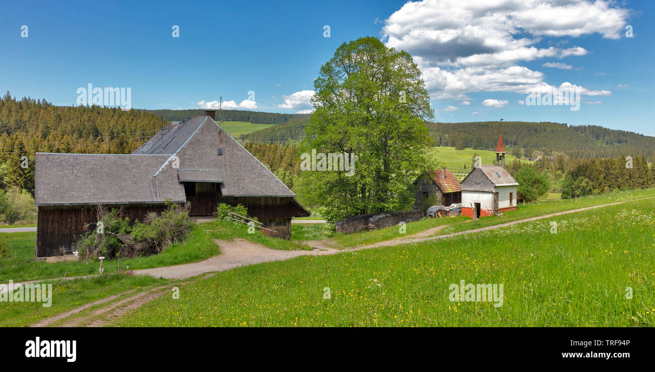 old Black Forest Farm near Hinterzarten, Germany Stock Photo - Alamy