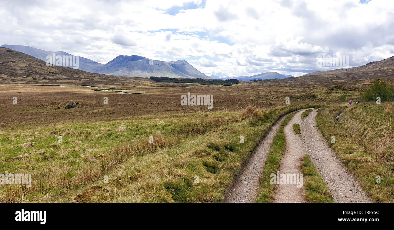 West Hiland Way Track, landscape between Bridge of Orchy and Kingshouse ...