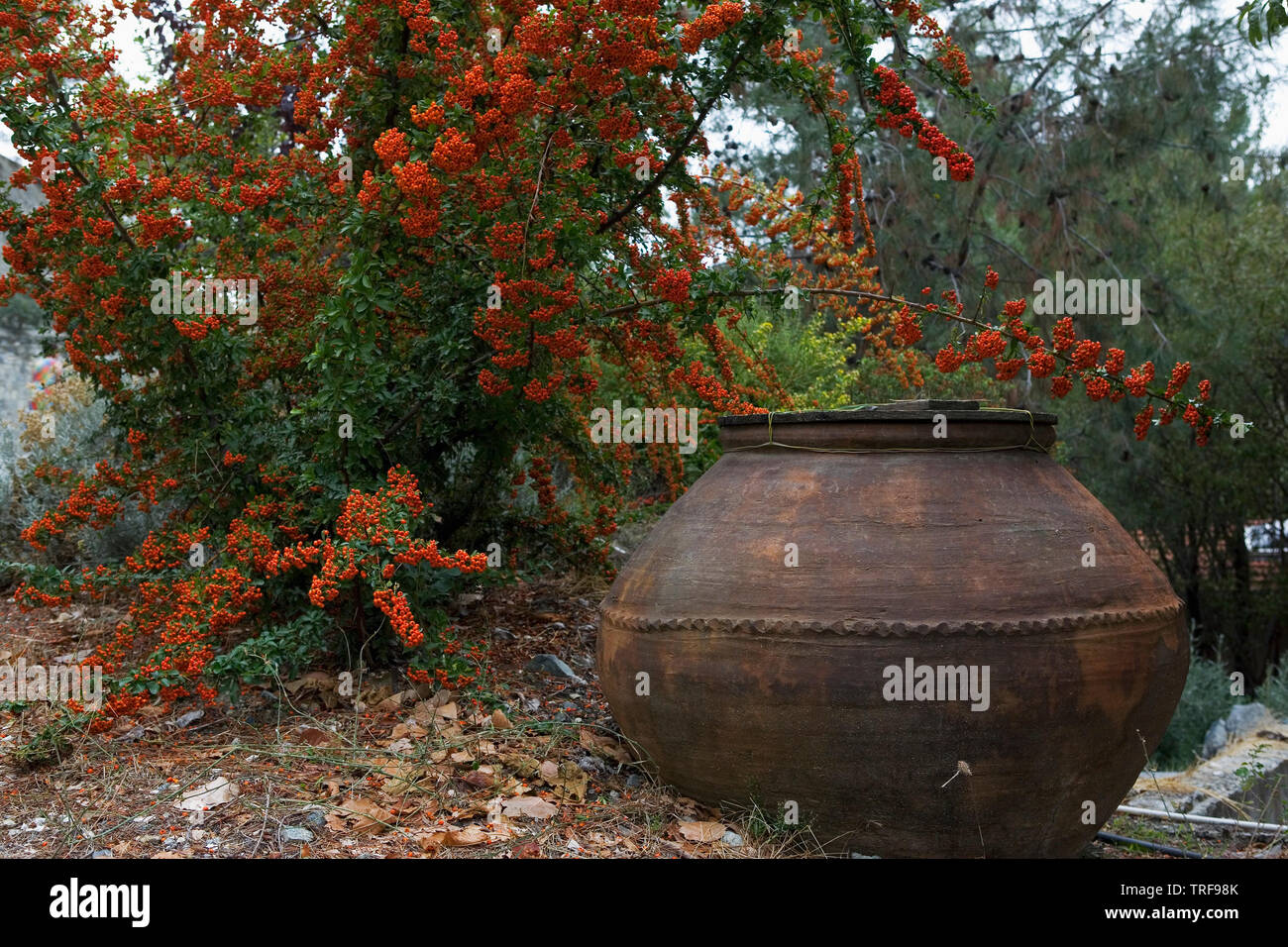 Pelendri cyprus hi-res stock photography and images - Alamy