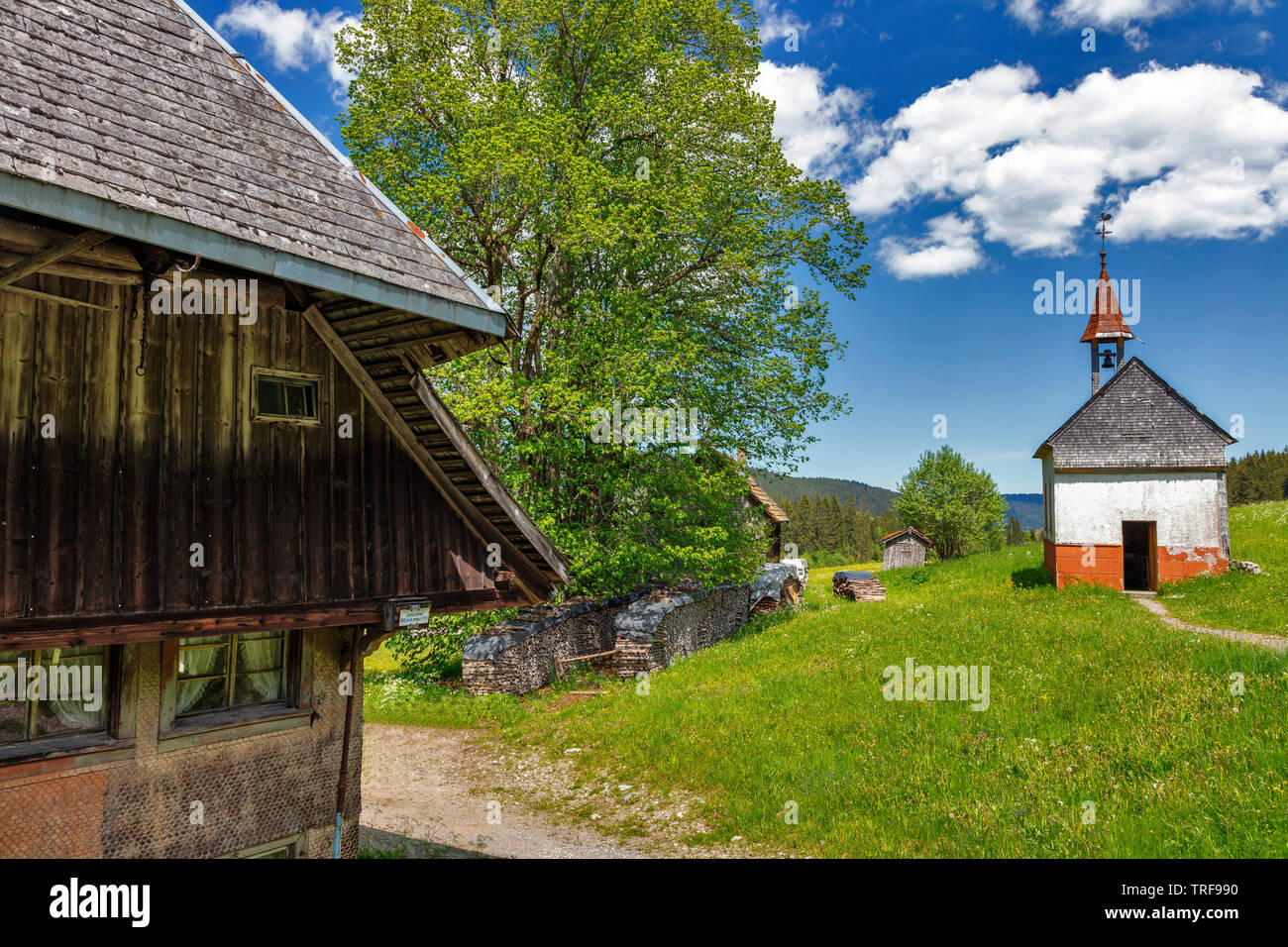 old Black Forest Farm near Hinterzarten, Germany Stock Photo - Alamy