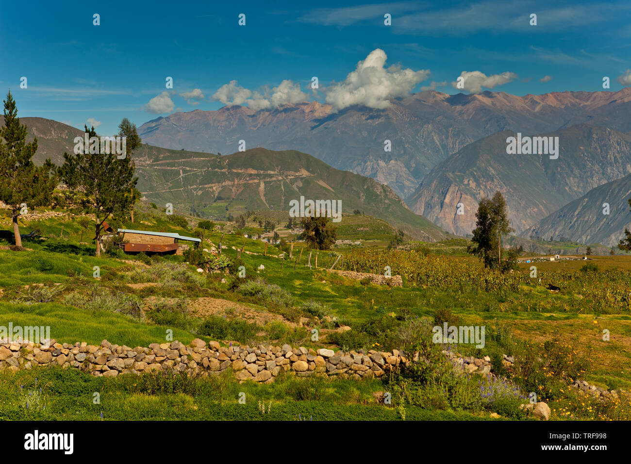 Landscape at Peruvian Andes Stock Photo - Alamy
