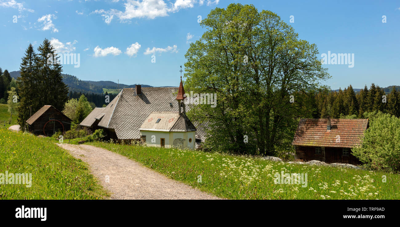 old Black Forest Farm near Hinterzarten, Germany Stock Photo - Alamy