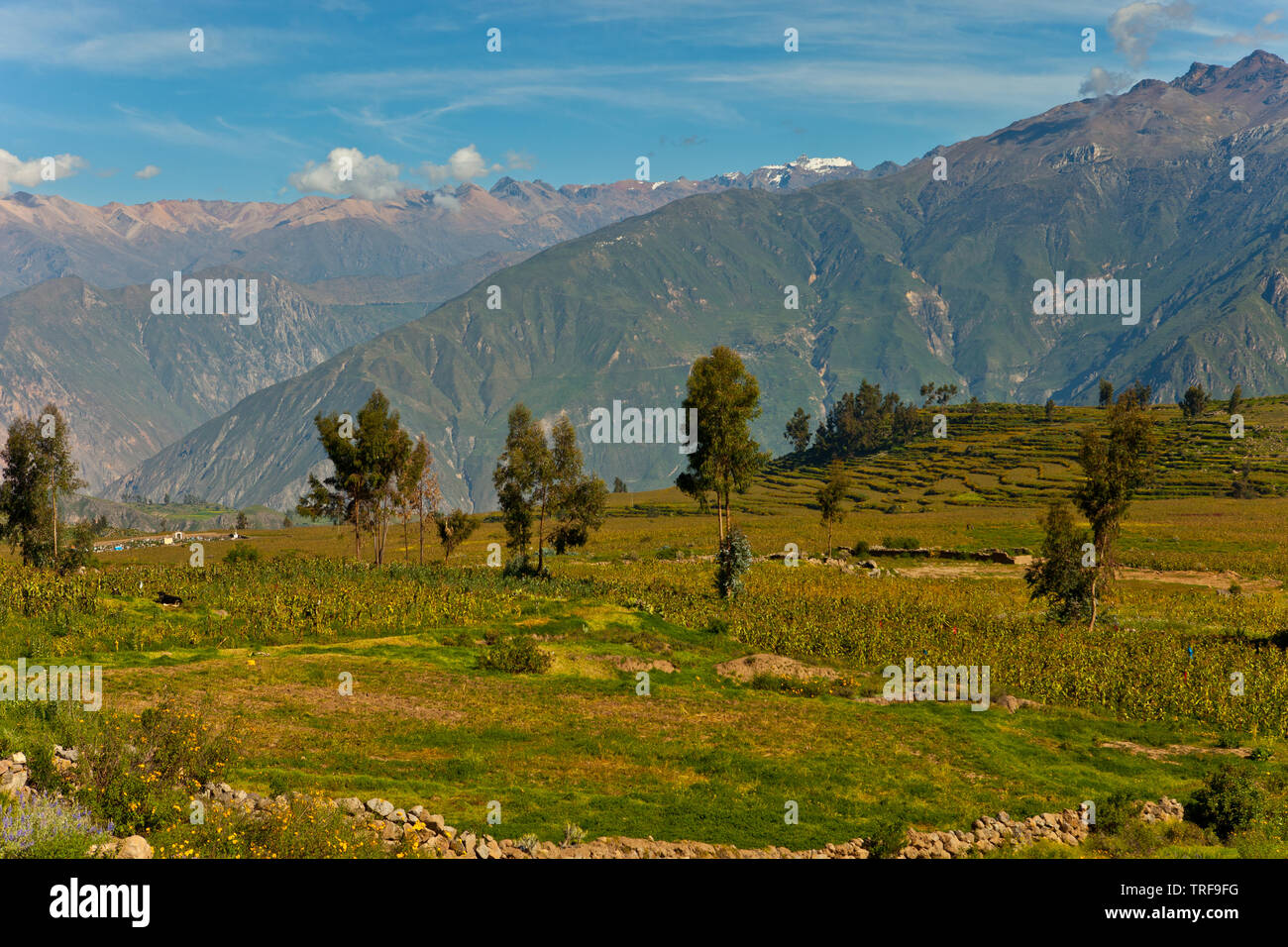 Landscape at Peruvian Andes Stock Photo - Alamy