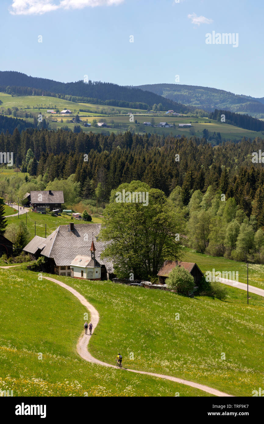 Hinterzarten house hi-res stock photography and images - Alamy