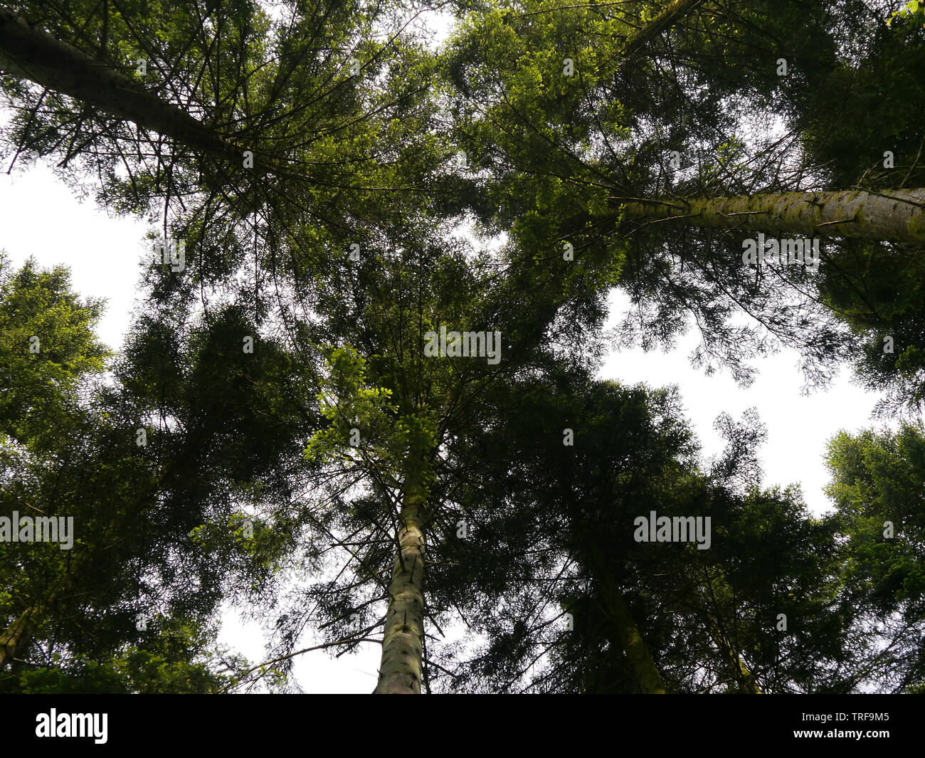 Frog perspective hi-res stock photography and images - Alamy