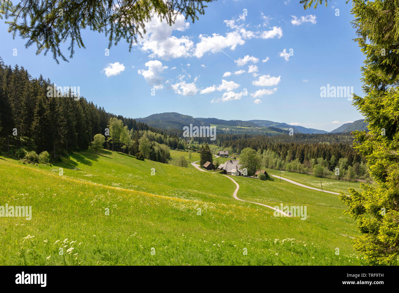 old Black Forest Farm near Hinterzarten, Germany Stock Photo - Alamy