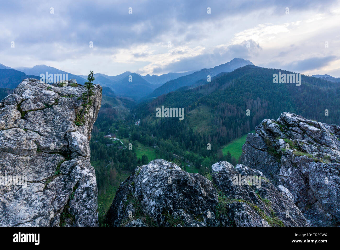 Mountain landscape from the Nosal. Tatry. Poland Stock Photo - Alamy