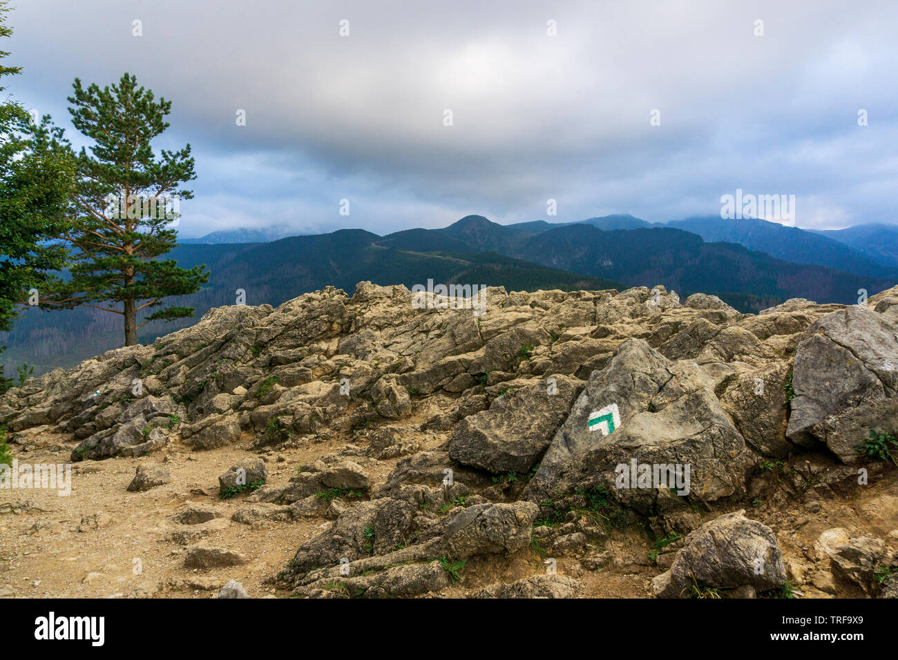 Mountain landscape from the Nosal peak. Tatry. Poland Stock Photo - Alamy
