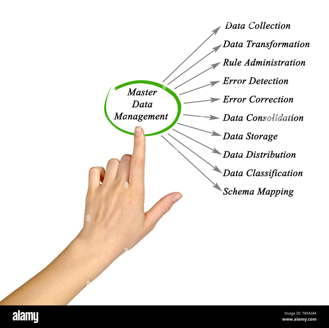 diagram of Master Data Management Stock Photo - Alamy