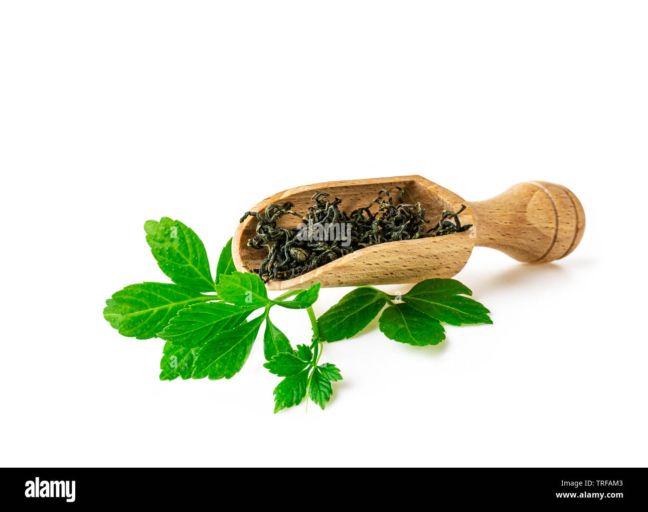Miracle leaf hi-res stock photography and images - Alamy
