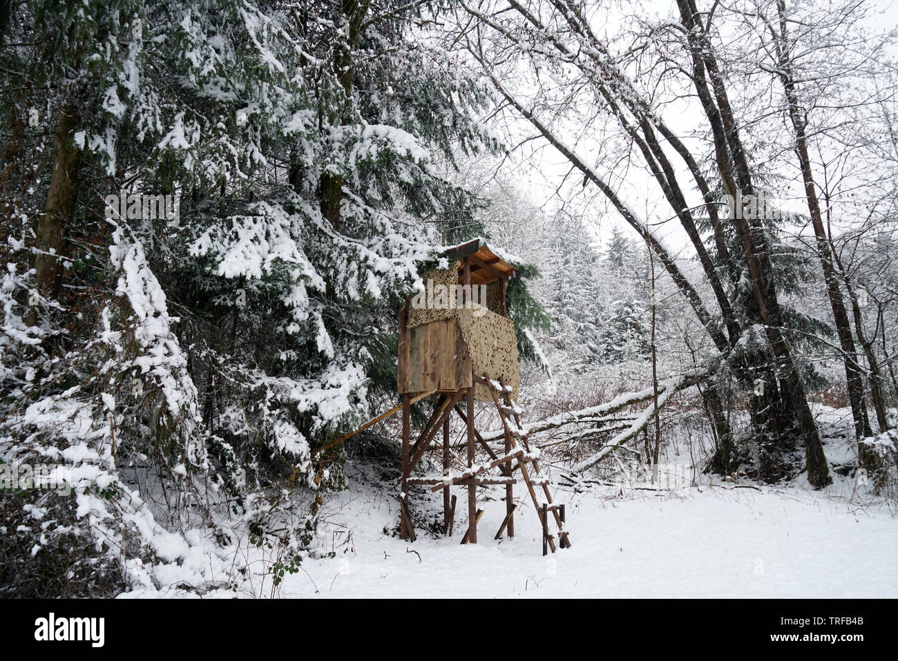 Winter landscape pictures with a lot of snow in cloudy weather in ...