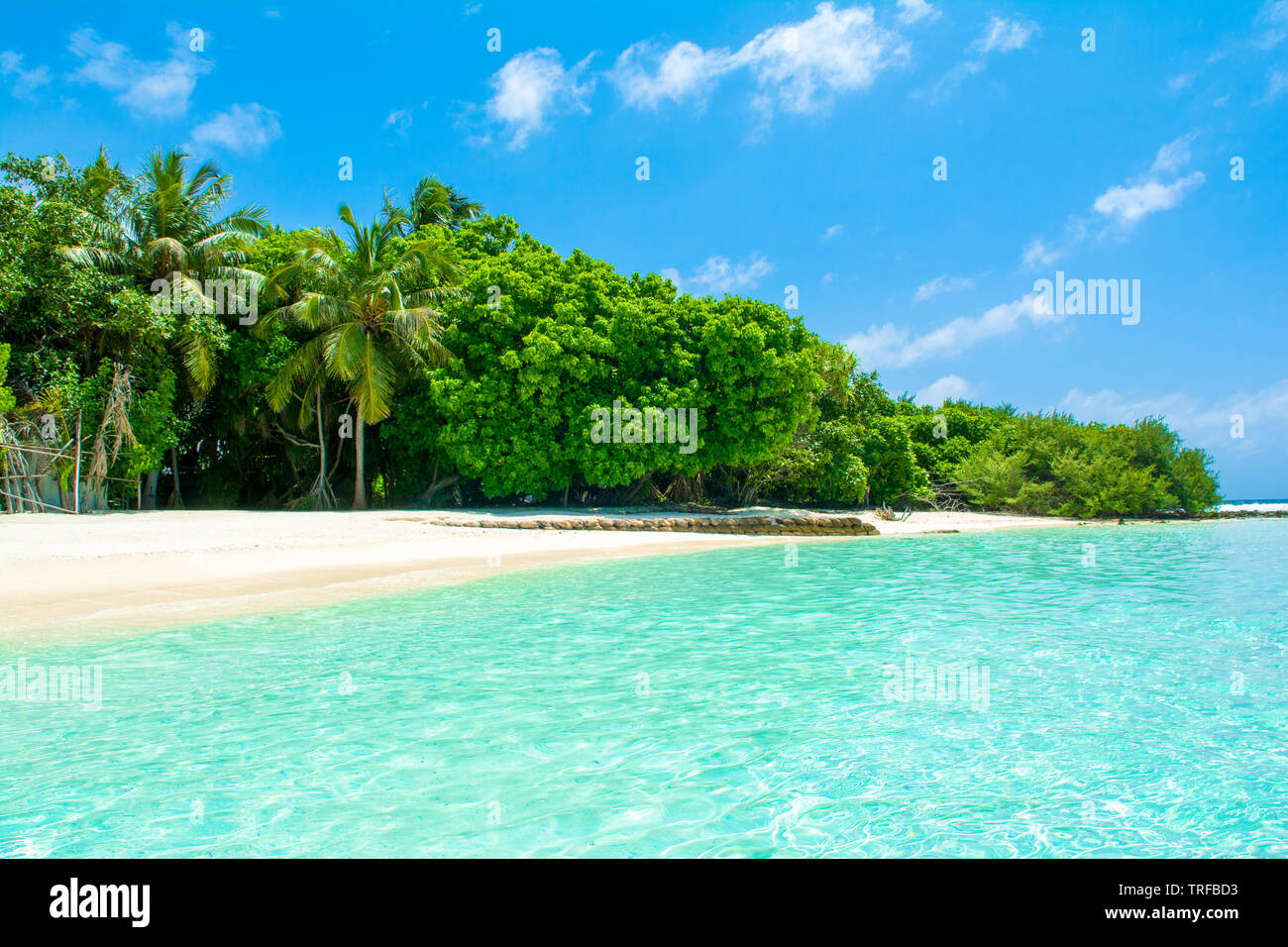 Beautiful sandy beach in uninhabited island in Indian ocean, Maldives Stock Photo - Alamy