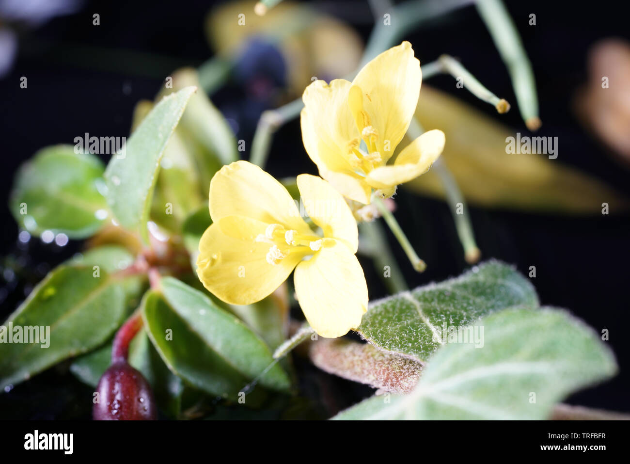 Various good quality photos with high resolution suitable as a poster ...